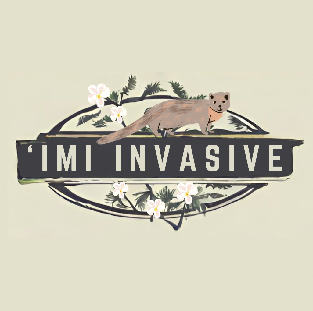 Lily Enanoria | Professional Portfolio